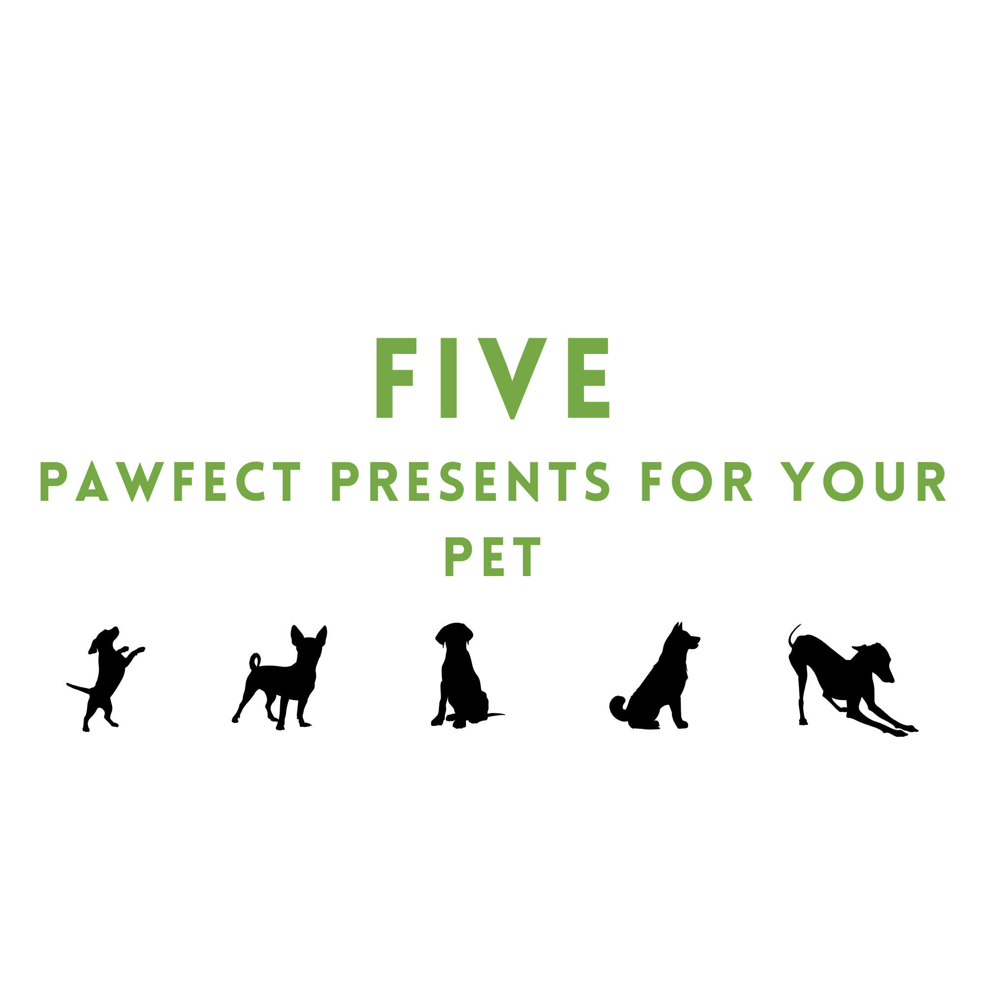 Five Pawfect Presents For Your Pet – Pawganic Pet Food